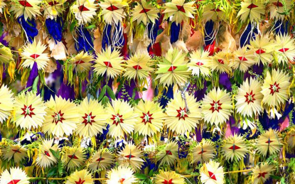 Rotumans celebrate language and culture 'together' amid Covid-19 ...