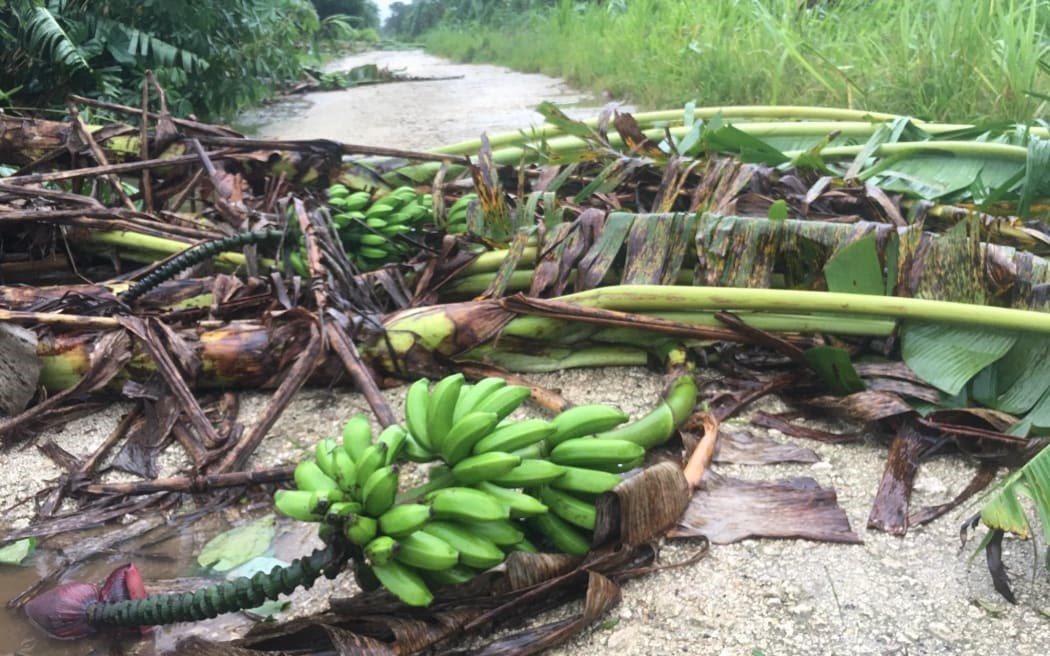 Flooding, power cuts in Vanuatu capital as Cyclone Irene hits - Pasifika TV