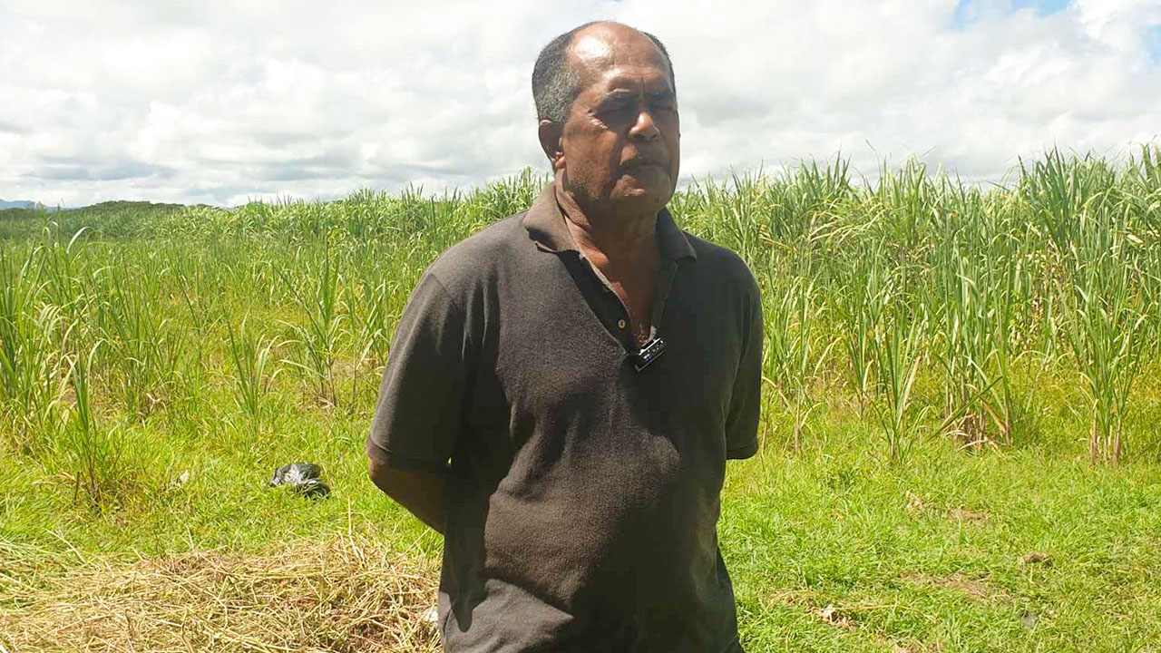 FBC News: Take proactive measures, says Kurulo - Pasifika TV