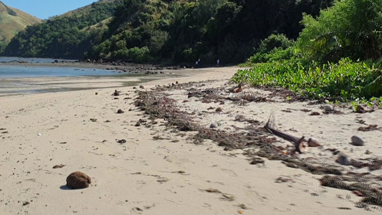 FBC News: Climate Change fight calls for more collaboration