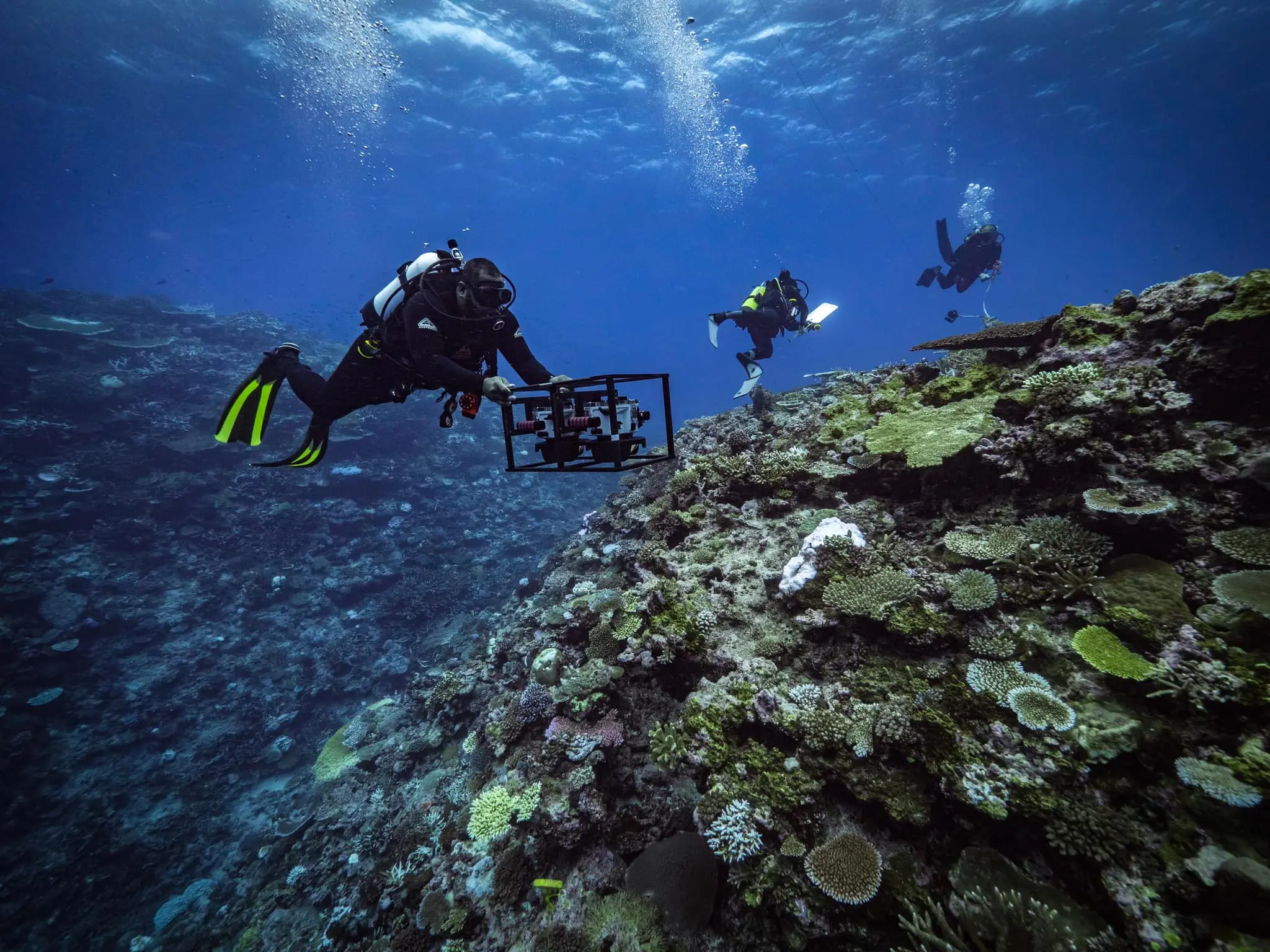 Fiji One: Mutual effort paves the way for sustainable ocean management