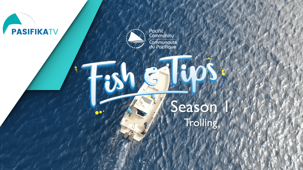 Get ready for an exciting new series, "Fish and Tips," where you’ll ...