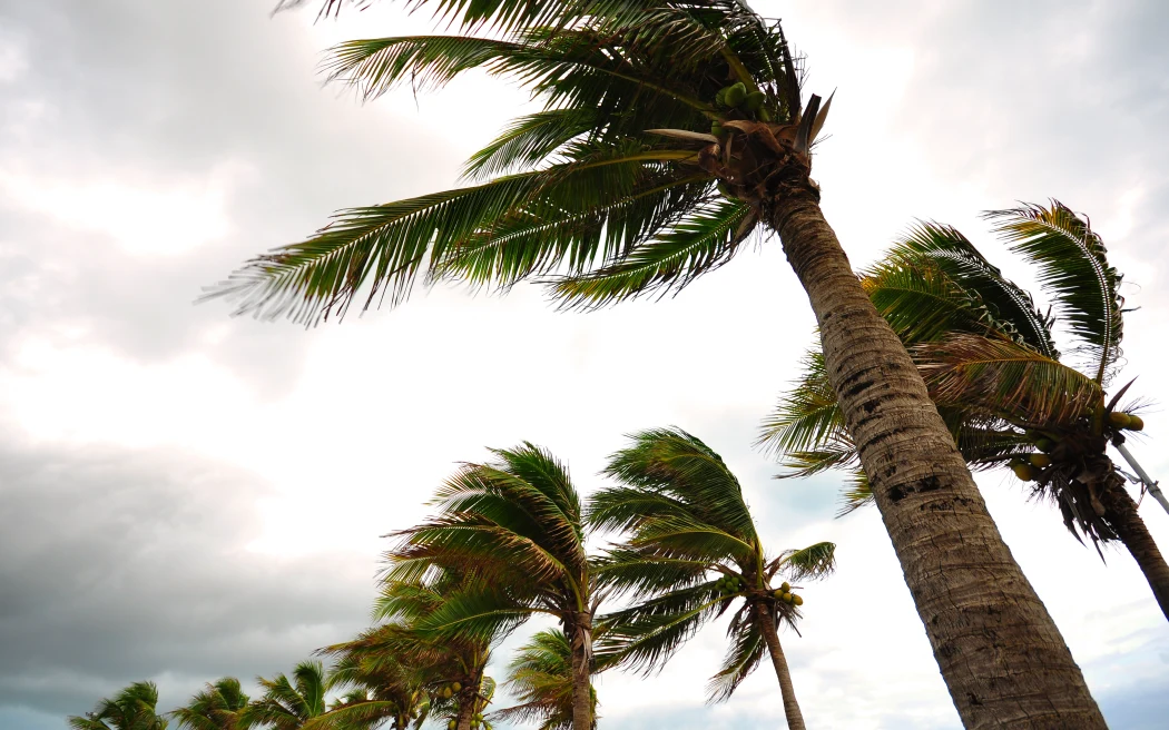 Cyclone Seru moving away from Vanuatu - Pasifika TV