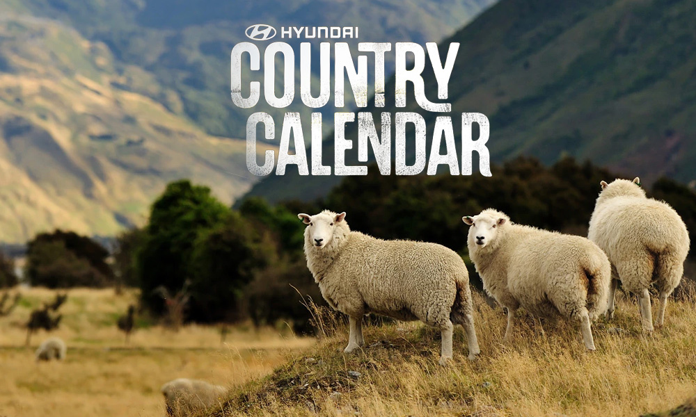 Country Calendar - Pasifika TV